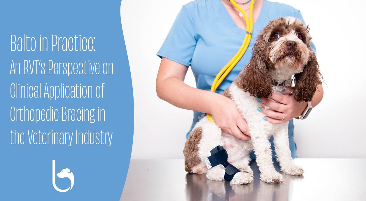 Balto in Practice | Balto® USA