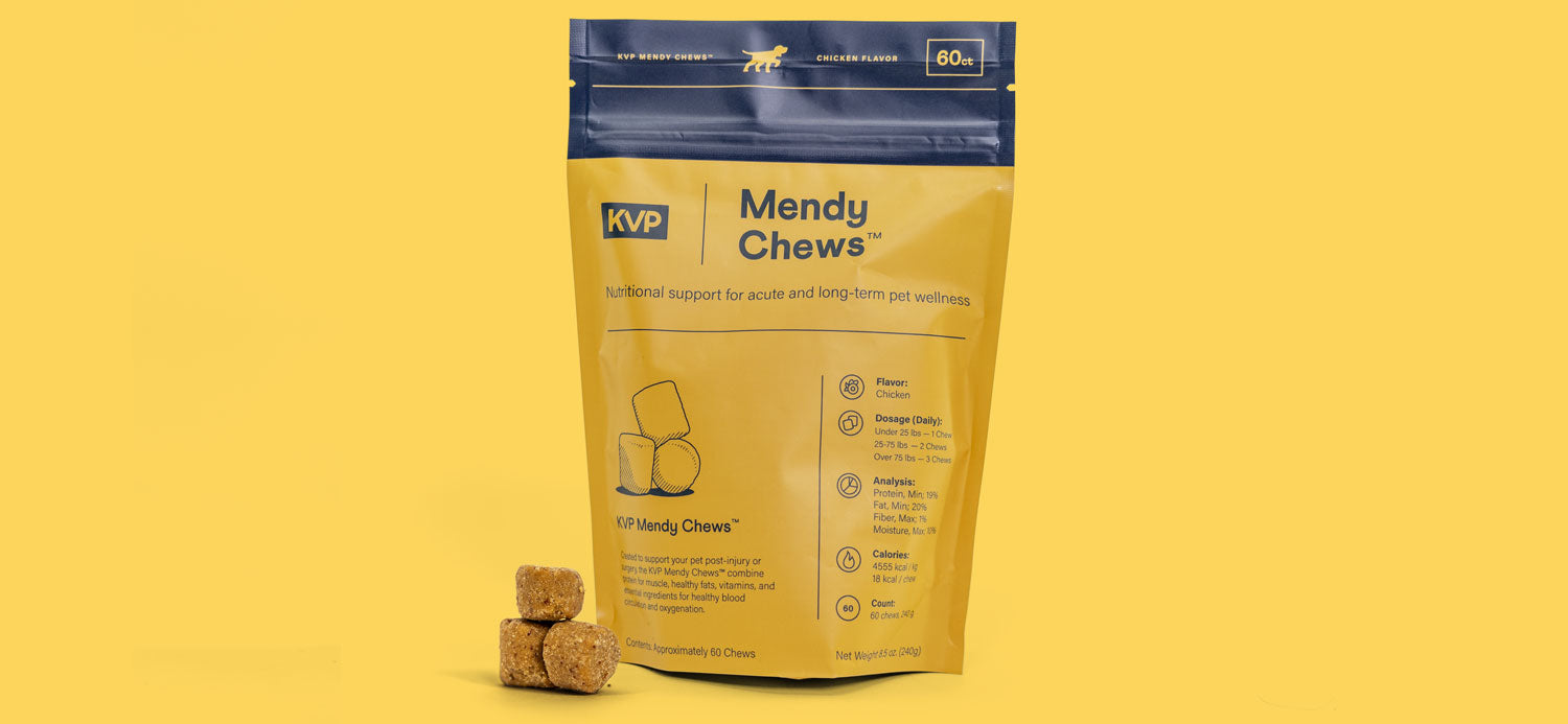 Hock Cat – Hock Brace for Felines | Balto® USA