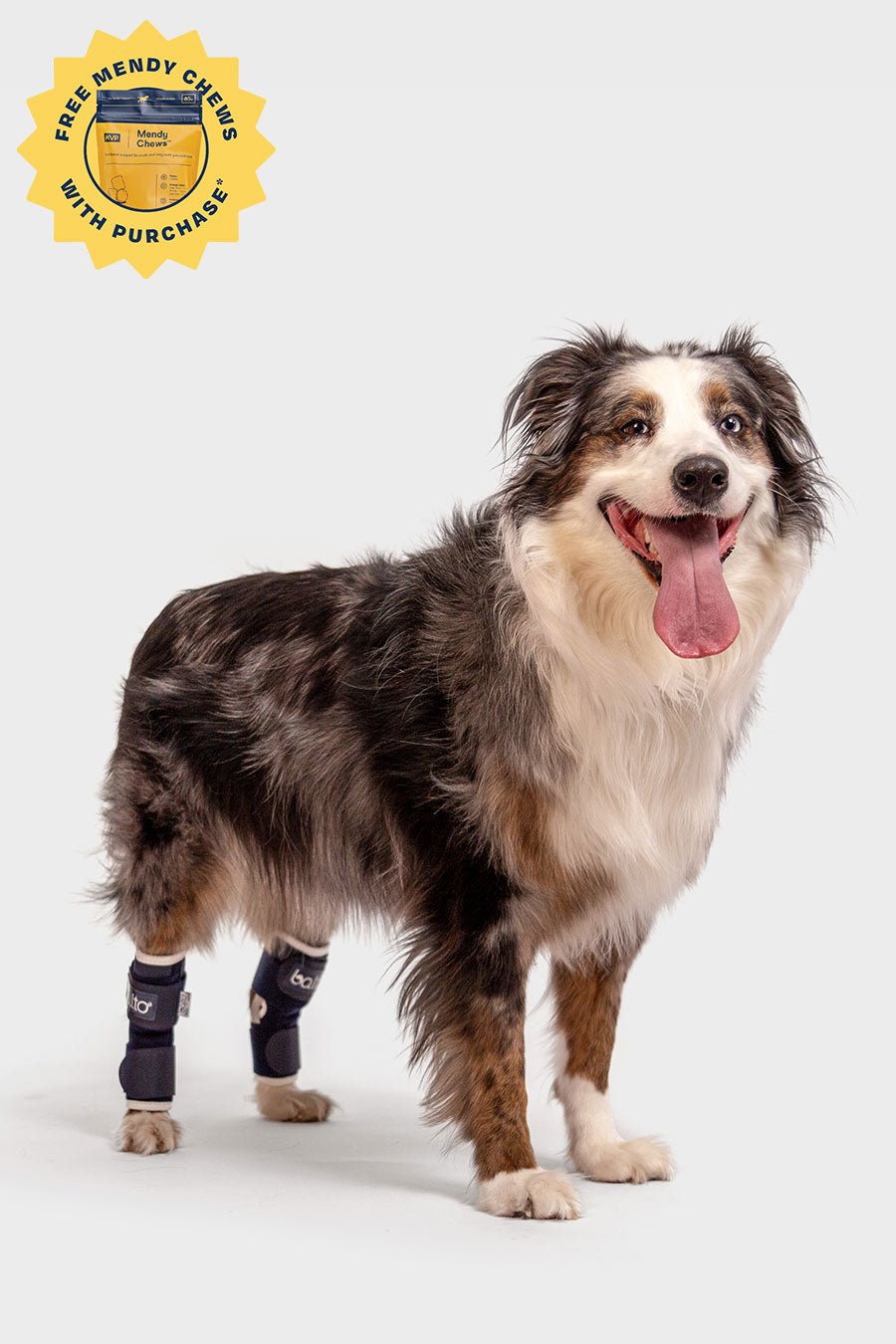 Dual Hock Brace | Balto® USA