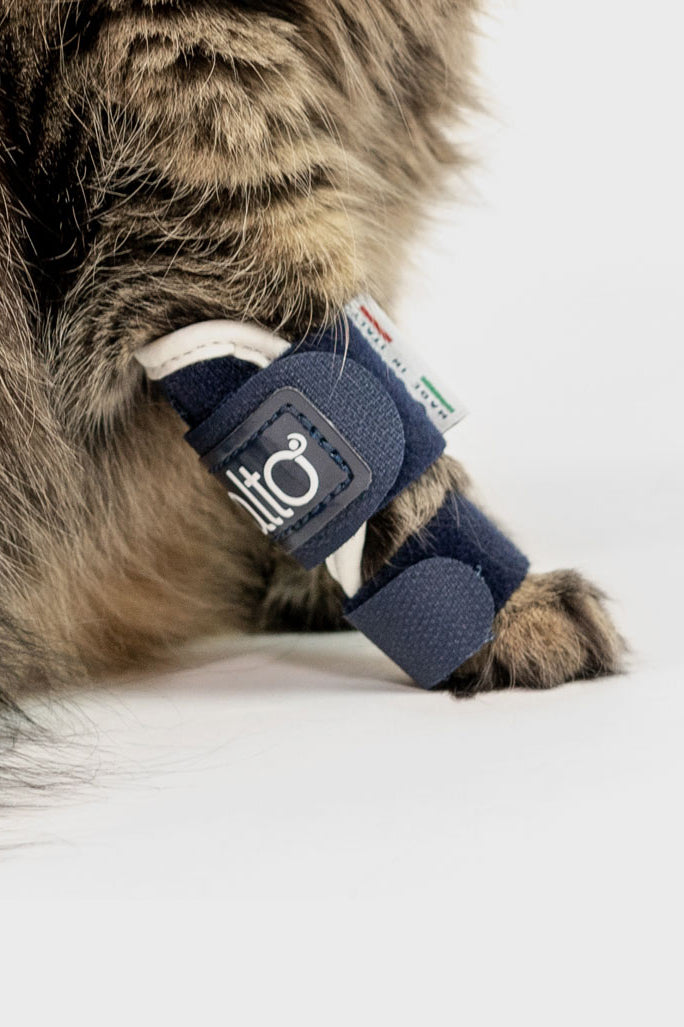 Splint Cat – Carpal/Tarsal Laxity Splint for Felines | Balto® USA