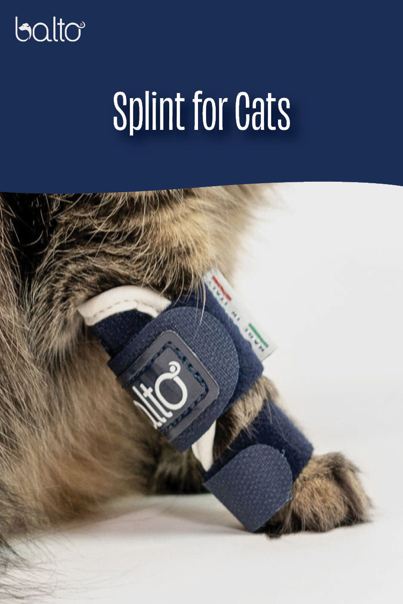 Splint Cat – Carpal/Metatarsal Laxity Splint for Felines | Balto® USA
