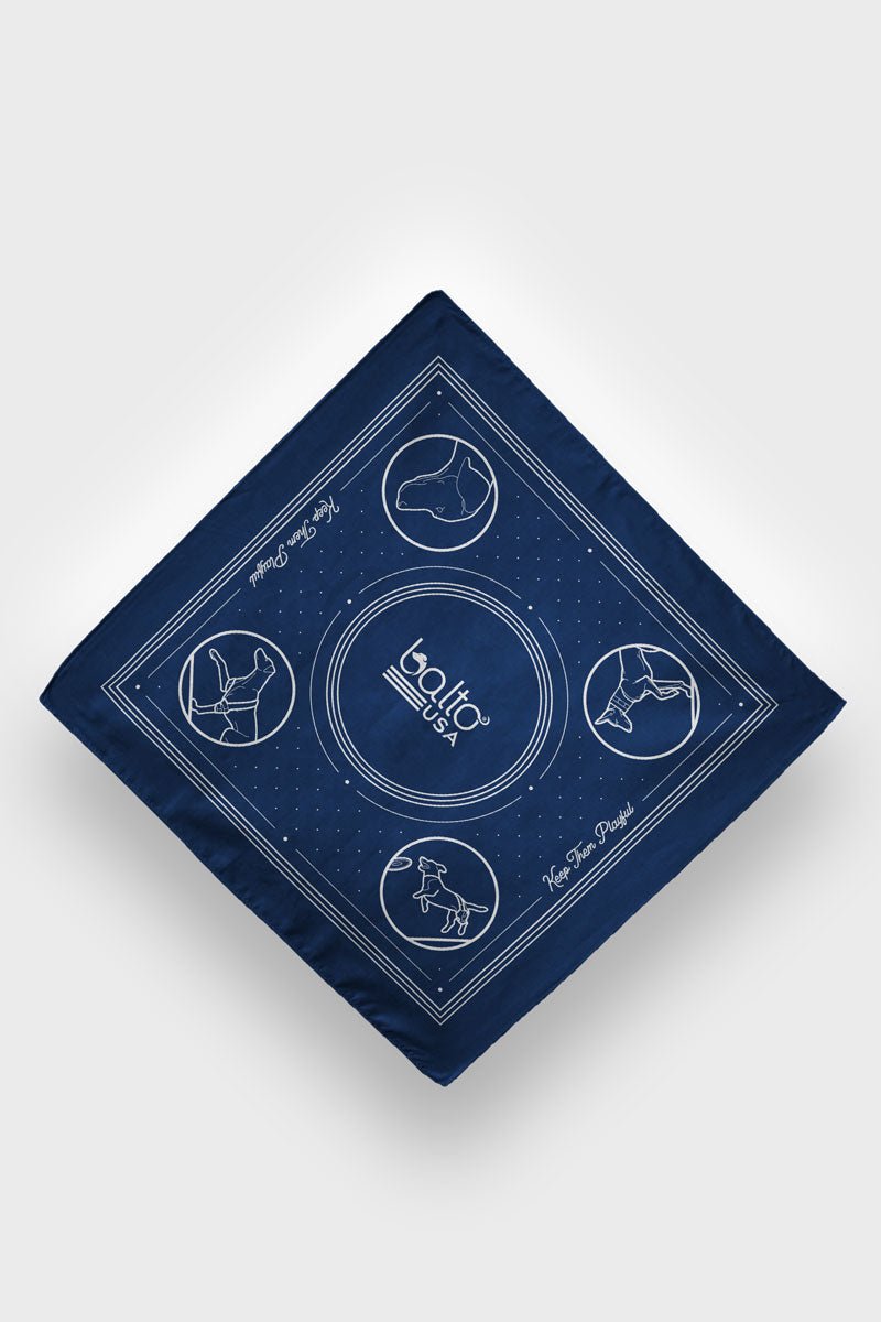 Balto Bandana | Balto® USA